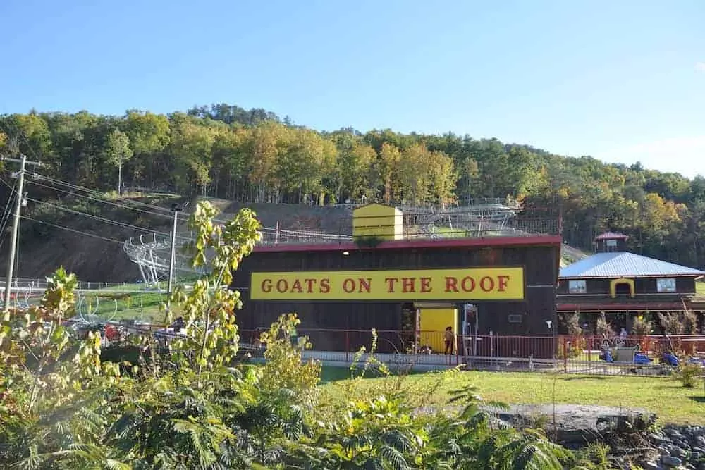 4 Pigeon Forge Attractions That Feature Live Animals