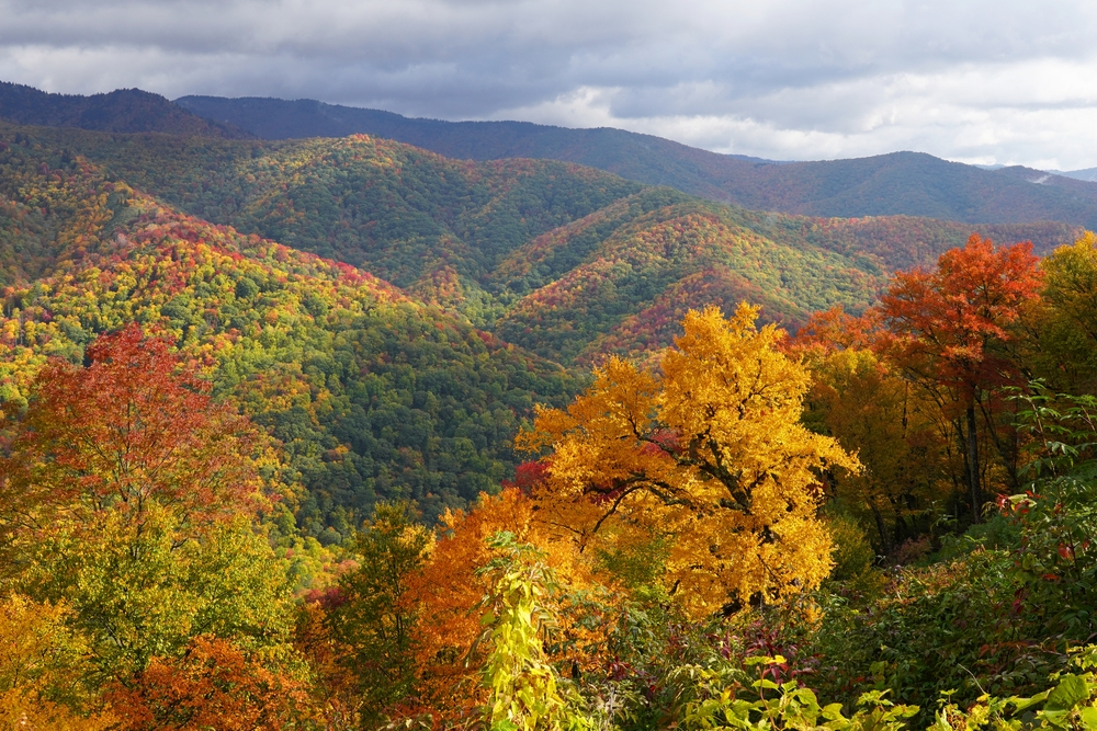 What You Need to Know About Smoky Mountain Fall Colors